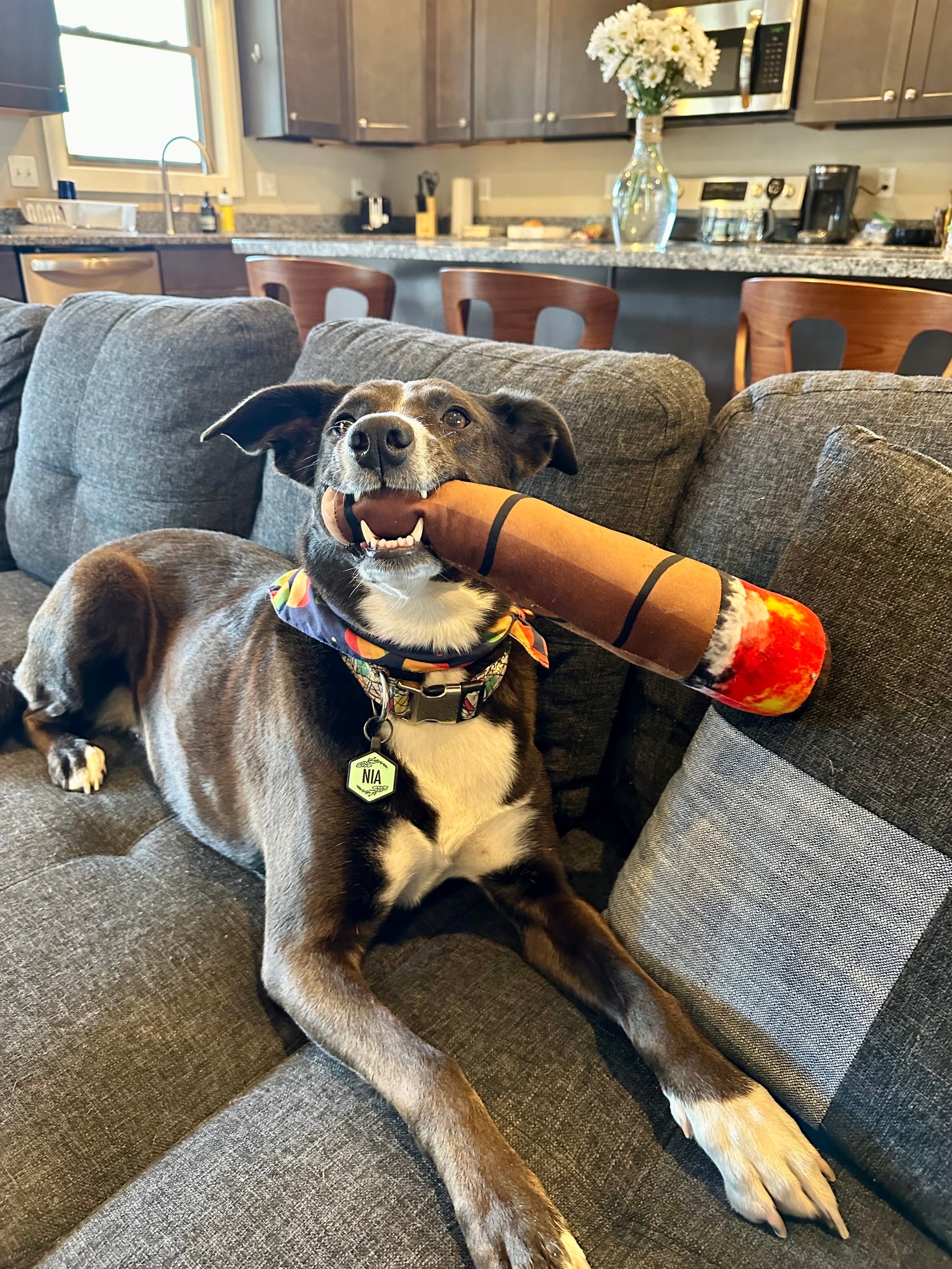 Our toys are safe, non-toxic, and vet-approved. – Blast Barketing